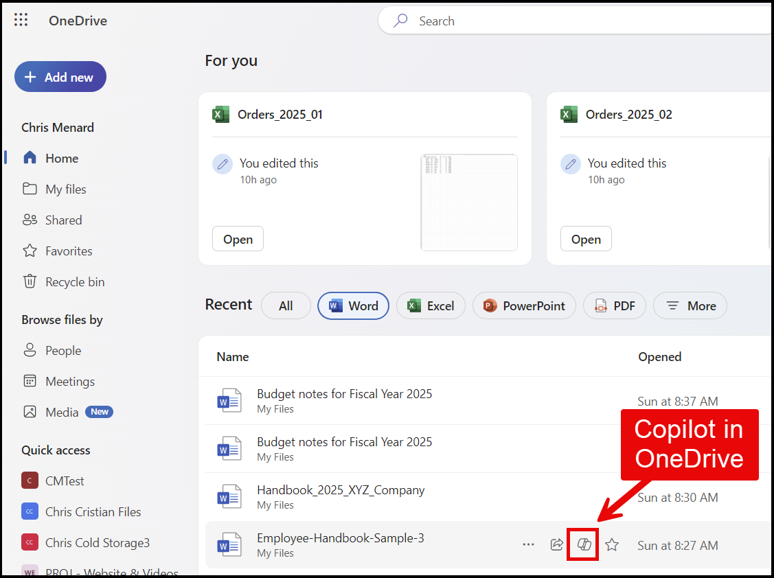 Copilot in OneDrive: Revolutionizing Document Interaction: Chris Menard ...